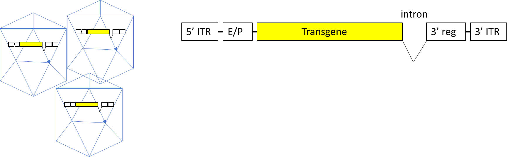Adeno-Associated Virus (AAV) Vector Production Quality Control