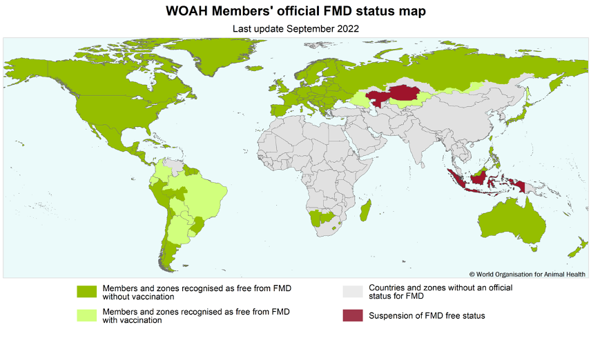 Foot-and-mouth disease: an ongoing threat to livestock around the globe ...