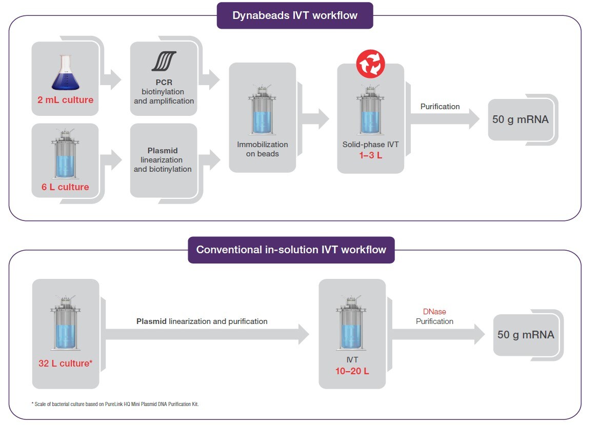 How to Achieve More Sustainable mRNA Synthesis and Purification ...
