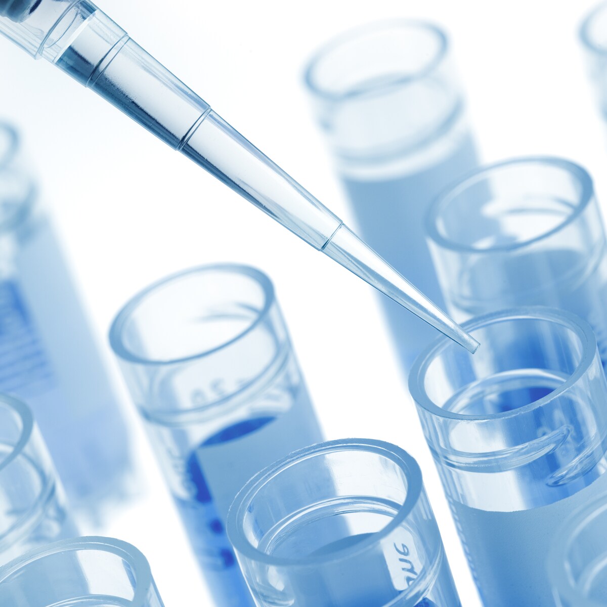 Success in Single-Use Supply Assurance for Biotech - Biotech at Scale