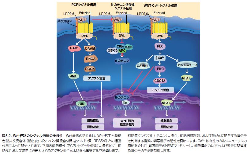 1 - Learning at the Bench