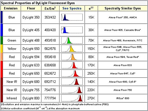 protein-basic15-fig4 - Learning at the Bench
