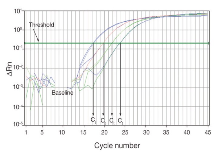 qpcr-basic37-fig1 - Learning at the Bench