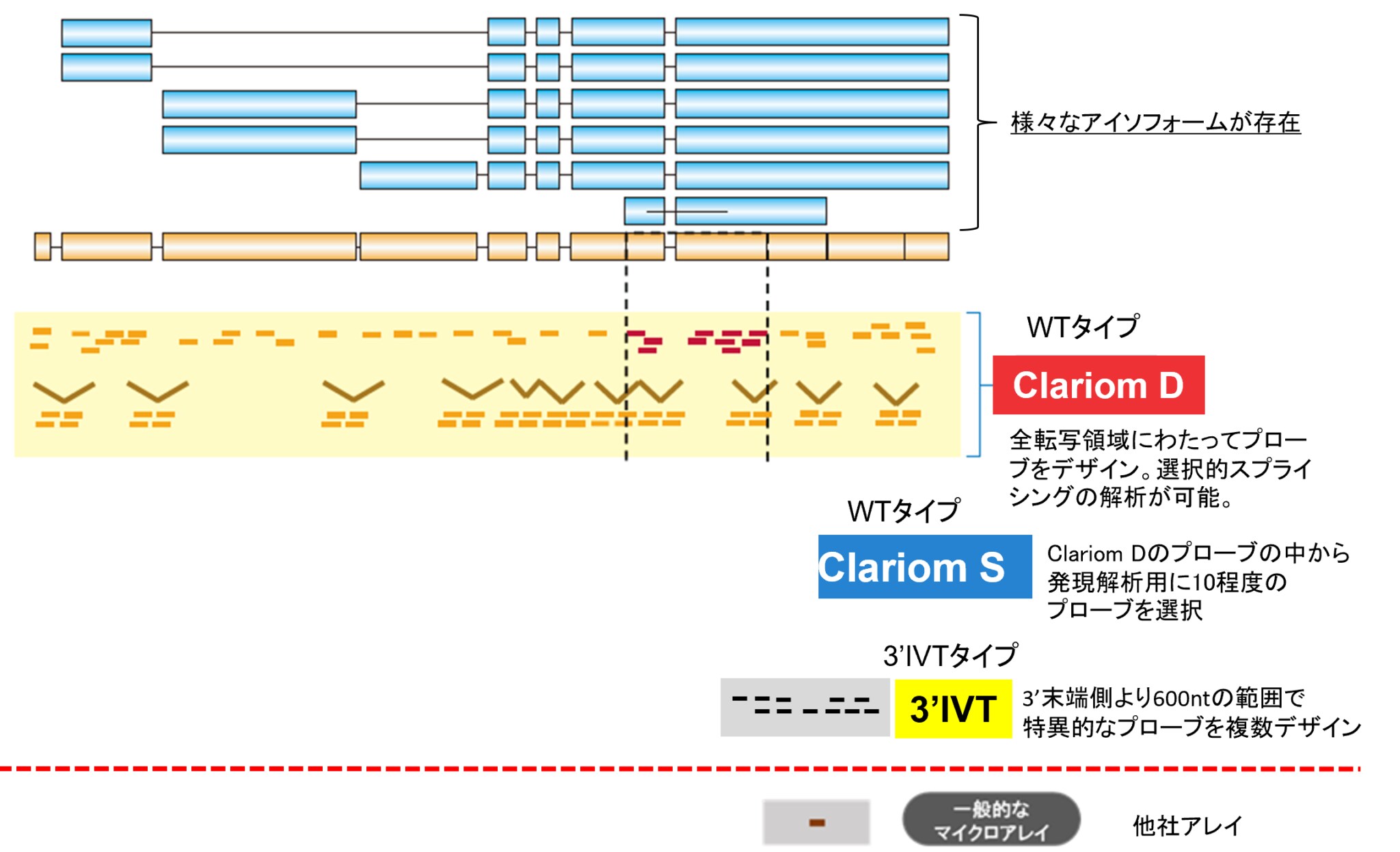 fig.4 - Learning at the Bench