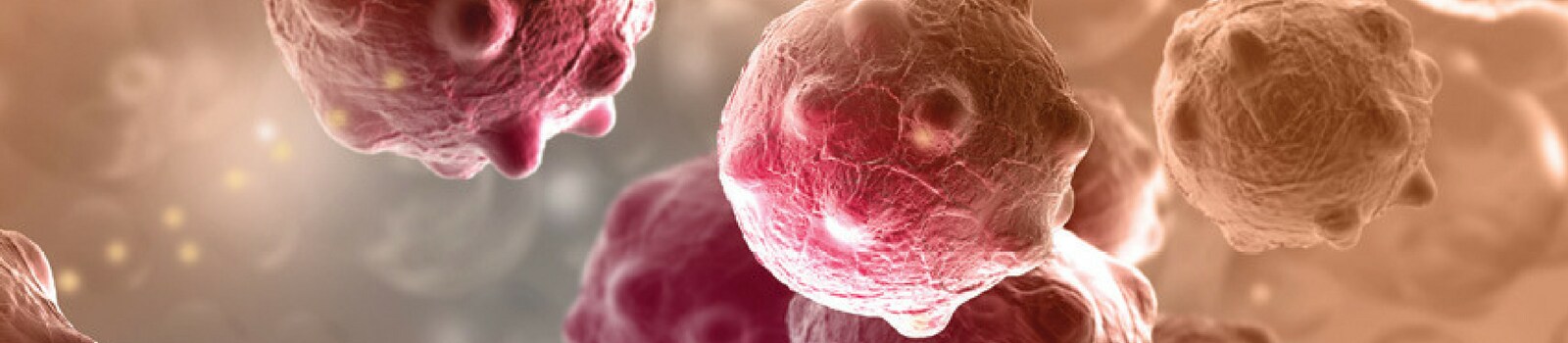 What is Immuno-Oncology? - Life in the Lab