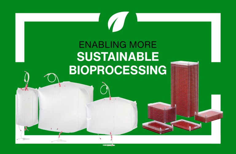 Sustainability by the Numbers: Reducing Your Carbon Footprint - Life in ...