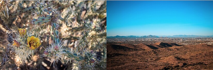 SEM Focus - SEM Depth of Field - Advancing Materials