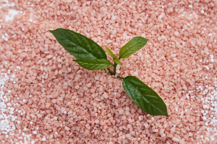 Ambitious Mining Project to Meet the Demand for Potash