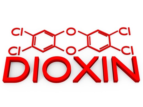 Dioxin Contamination in Breast Milk: An Italian Case Study