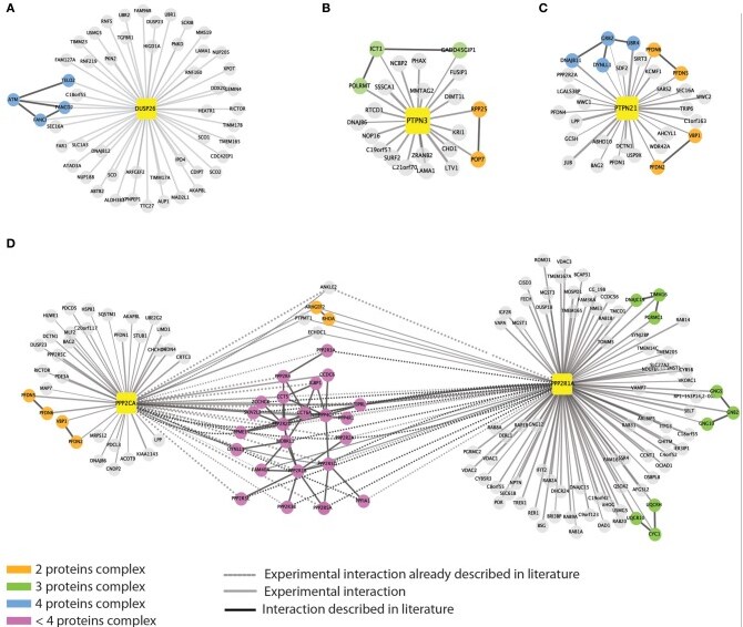Examining the Phosphatase Interactome using Affinity Proteomics