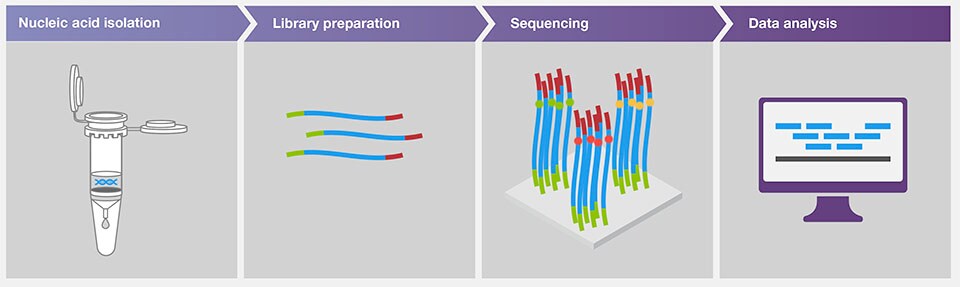 Next-Generation Sequencing Illumina Workflow–4 Key Steps | Thermo ...