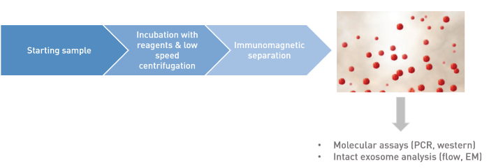 Exosomas | Thermo Fisher Scientific - ES