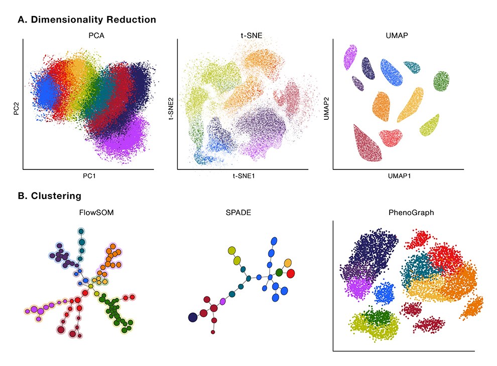 Spectral Flow Cytometry Data Analysis | Thermo Fisher Scientific - FR