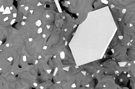 Desktop SEM | Phenom Pharos FEG-SEM | Thermo Fisher Scientific - ID