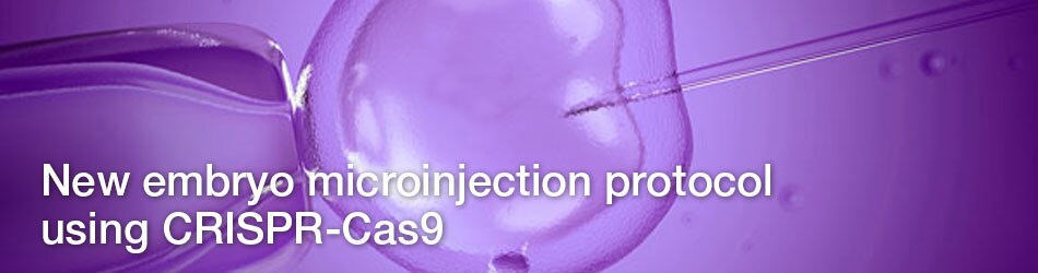 Request your copy: New─Efficient Mouse and Zebrafish embryos ...