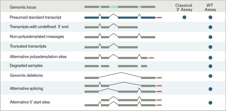 Transcriptome Profiling with Microarrays | Thermo Fisher Scientific - IN