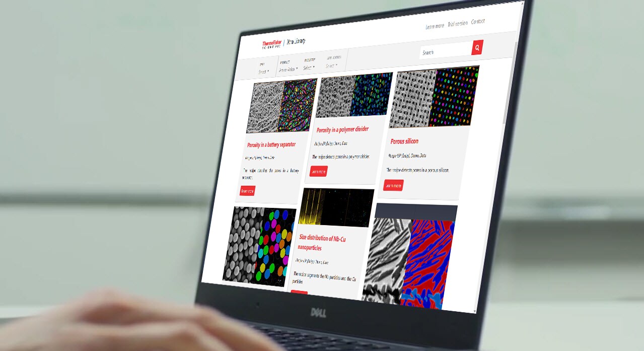3D 可視化解析ソフトウェア | Thermo Fisher Scientific - JP