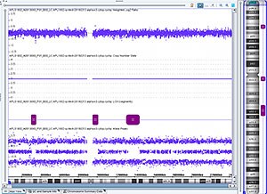 CytoScan Optima Suite | Thermo Fisher Scientific - JP
