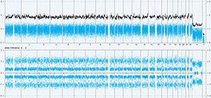 CytoScan Optima Suite | Thermo Fisher Scientific - JP