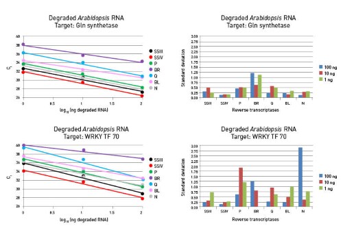 SuperScript® IV Reverse Transcriptase | Thermo Fisher Scientific - JP
