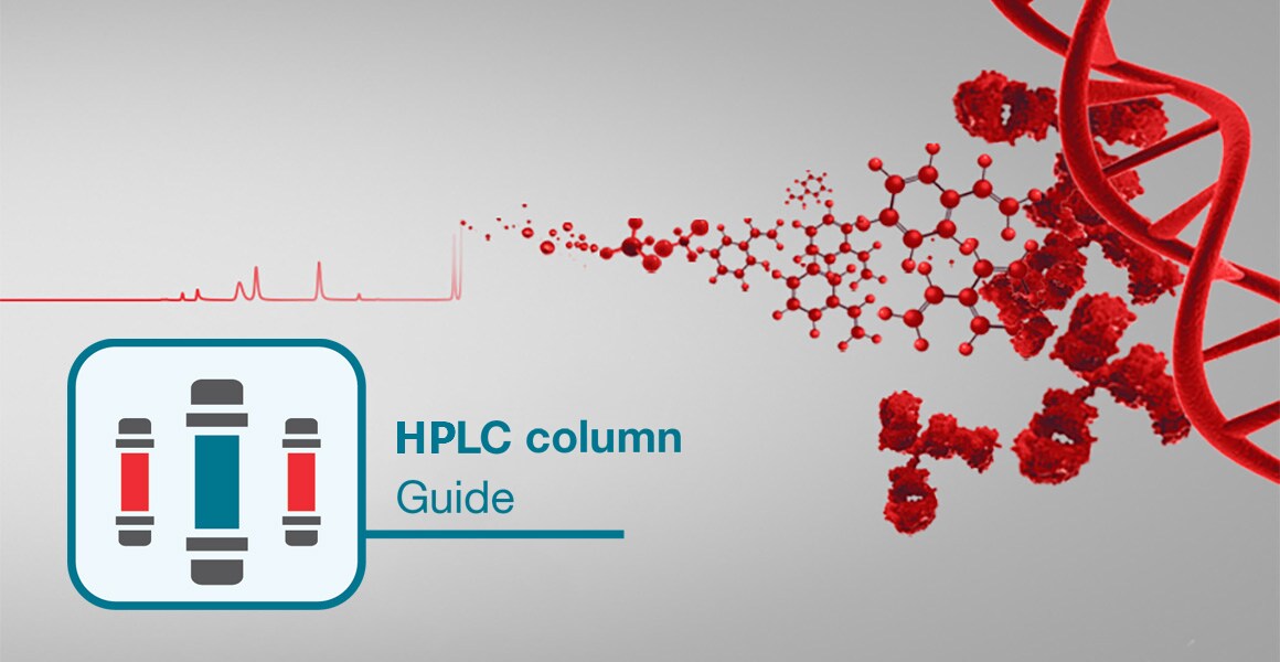Mixed-Mode HPLC Columns | Thermo Fisher Scientific - KR