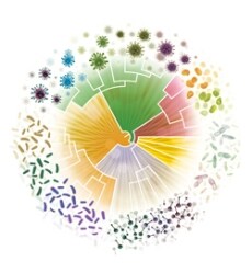 Axiom Microbiome Solution | Thermo Fisher Scientific - KR