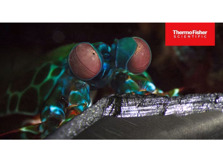 Bioinspired Materials Get Their Strength From Nature - Thermo Fisher ...