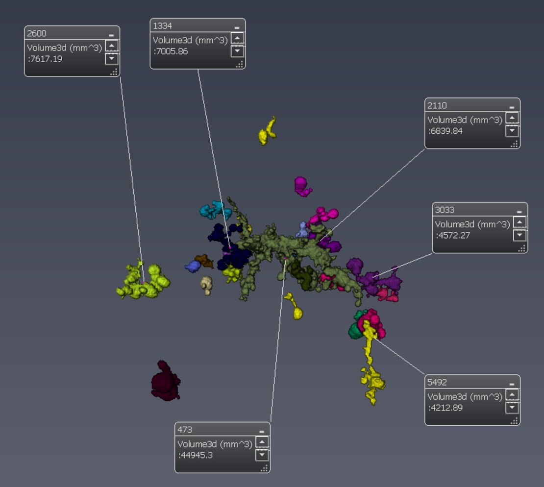 Xtra Library for Thermo Scientific Amira, Avizo and PerGeos Software ...