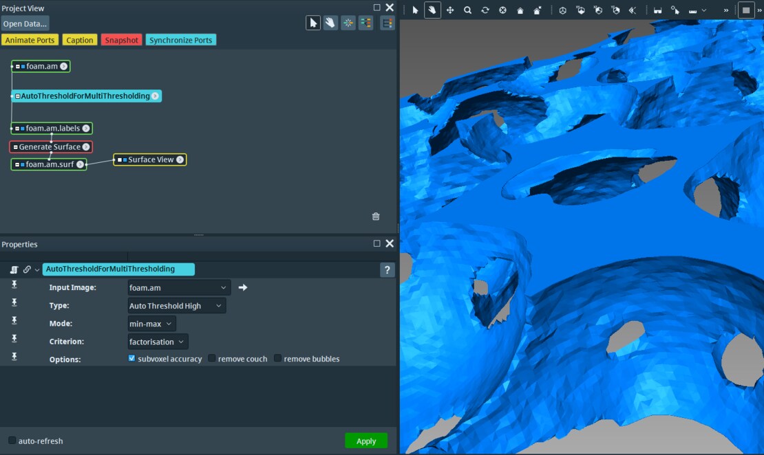 Xtra Library for Thermo Scientific Amira, Avizo and PerGeos Software | Auto Threshold for Multi ...