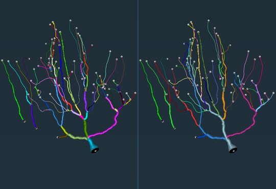 Xtra Library for Thermo Scientific Amira, Avizo and PerGeos Software | Split and Merge Segments