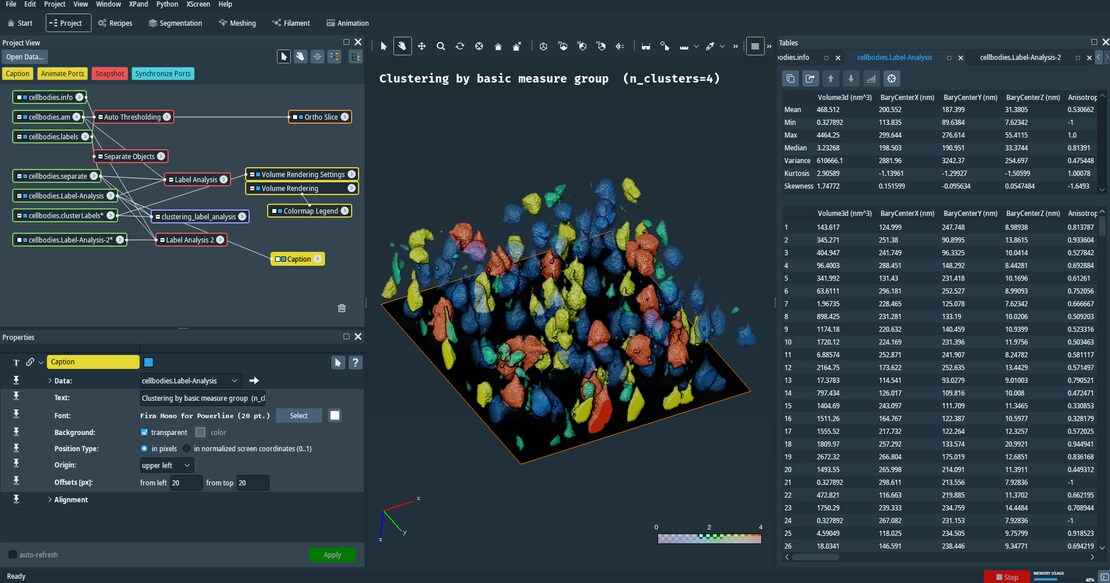 Xtra Library for Thermo Scientific Amira, Avizo and PerGeos Software ...