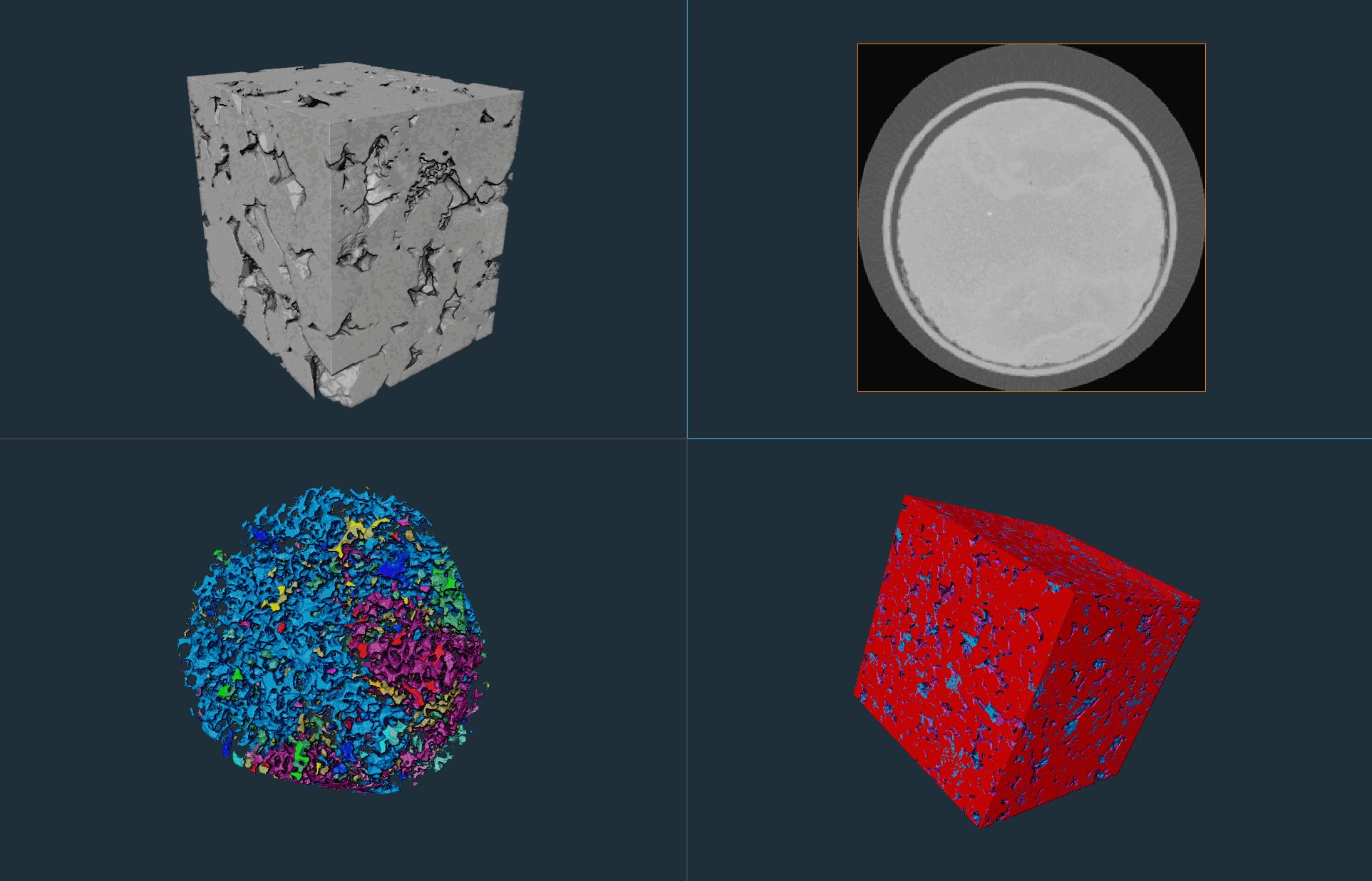 Xtra Library for Thermo Scientific Amira, Avizo and PerGeos Software ...