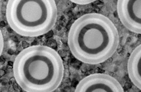 TEM | Metrios AX TEM | Thermo Fisher Scientific - TW