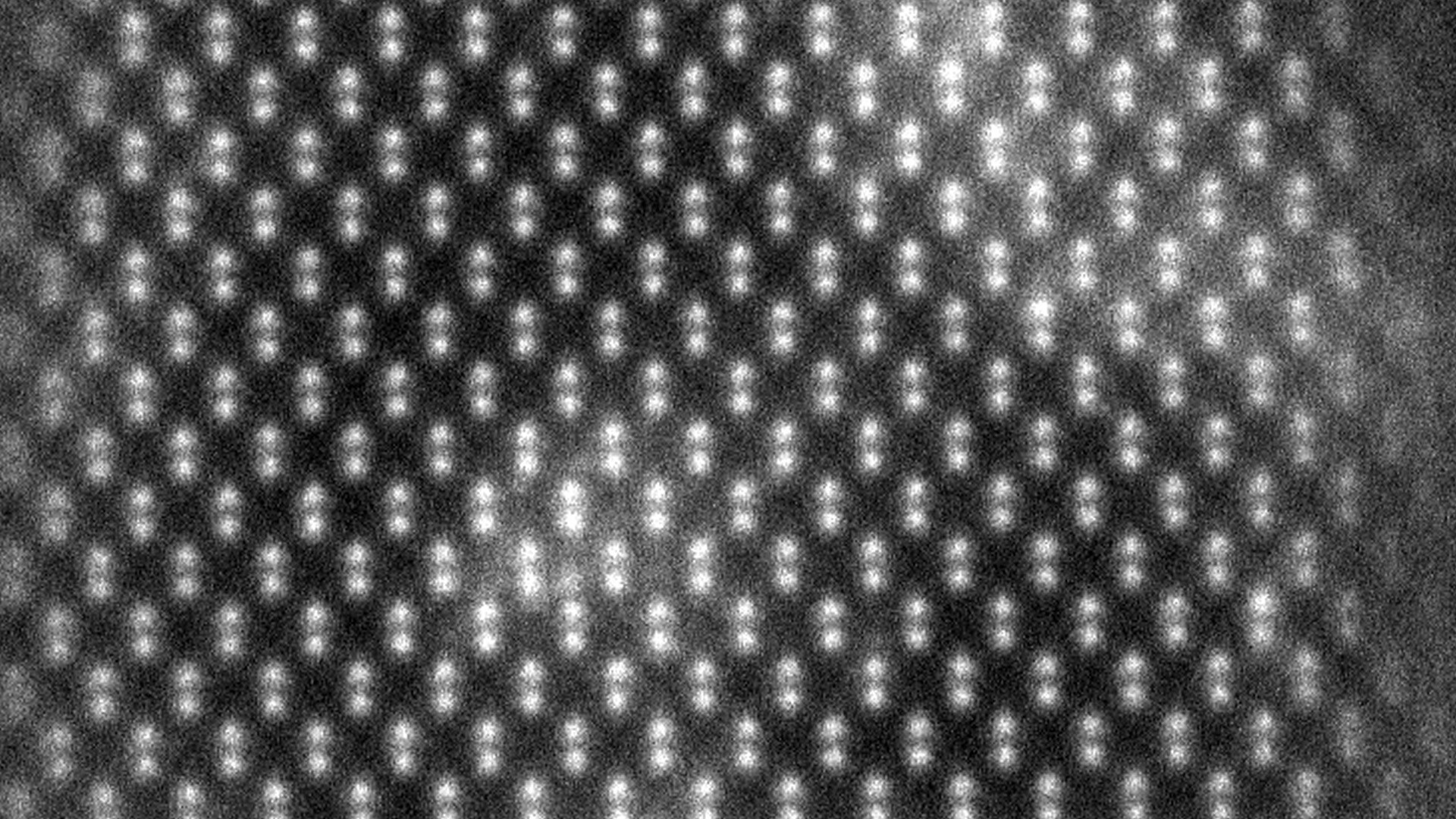 Serial Section Electron Microscopy | Auto Slice and View Software | Thermo Fisher Scientific - UK