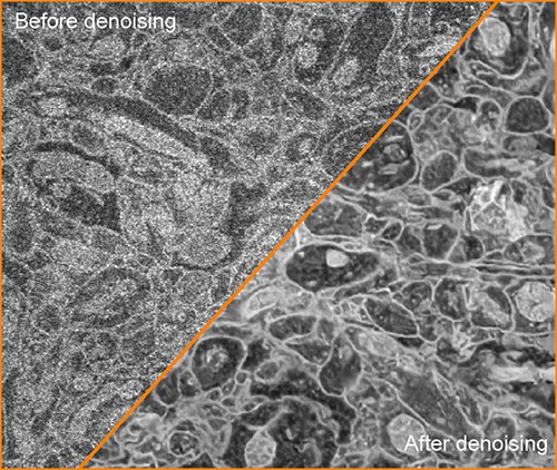 Artificial Intelligence for 3D Visualization and Analysis Software ...