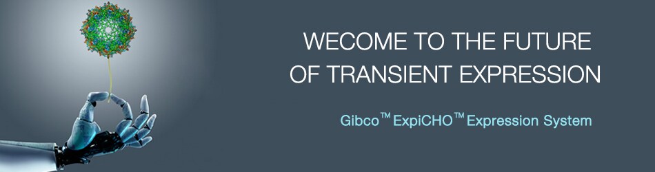 ExpiCHO Expression System Consultation | Thermo Fisher Scientific - US