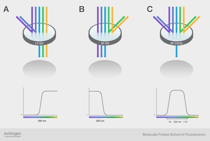 Optics of a Flow Cytometer | Thermo Fisher Scientific - US