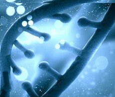 miRNA Profiling with Microarrays | Thermo Fisher Scientific - US