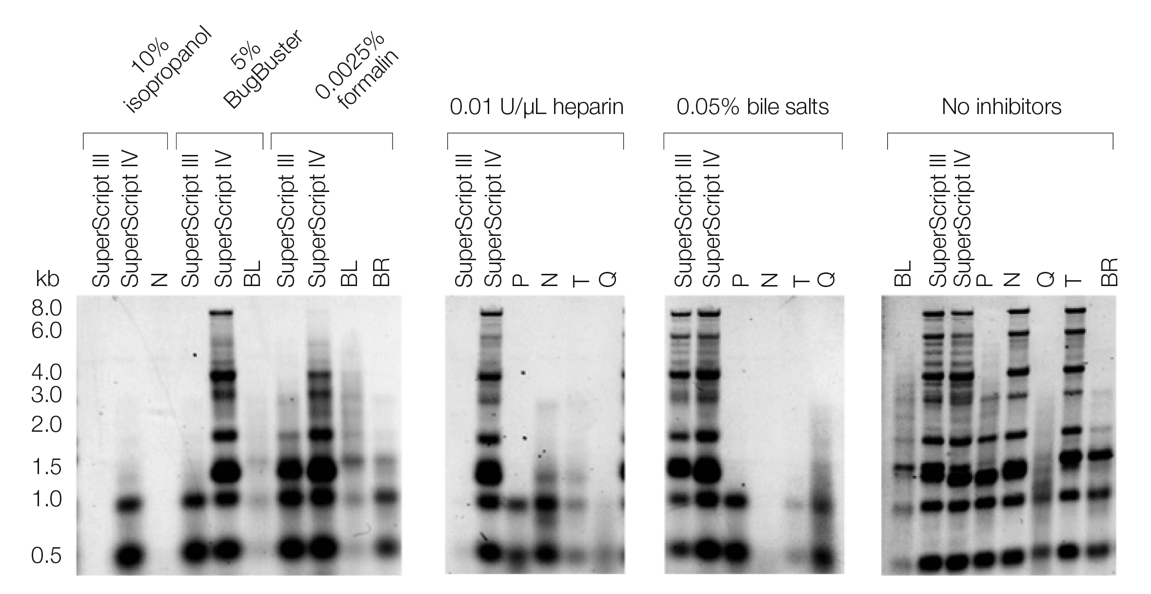 SuperScript IV Reverse Transcriptase | Thermo Fisher Scientific - US