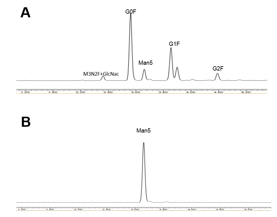 Expi293 Expression System | Thermo Fisher Scientific - US