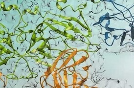 Cryo Electron Microscopy Imaging Filter | Selectris | Thermo Fisher ...