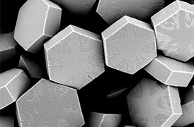 Desktop SEM | Phenom Pharos FEG-SEM | Thermo Fisher Scientific - US